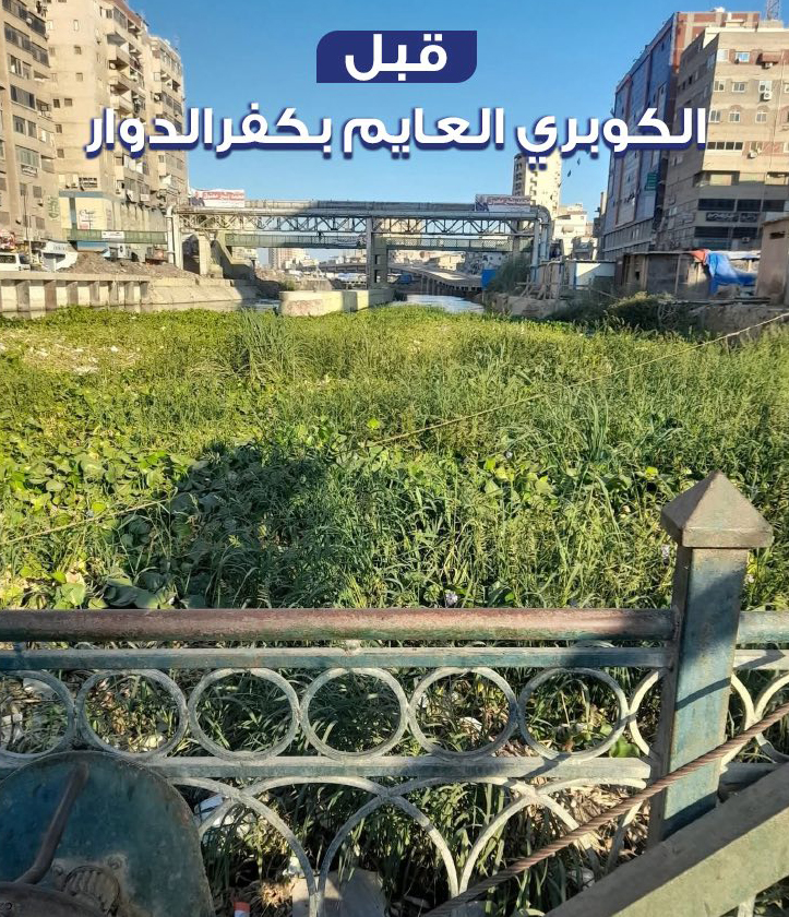 The Floating Bridge in Kafr El-Dawar – ATLAS Agriculture